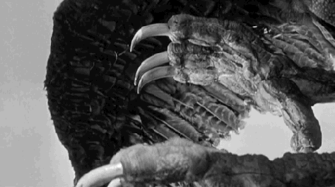 The Giant Claw (1957) | Monster Zone