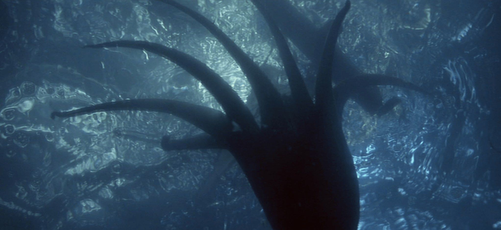 Tentacles 1977 Monster Zone