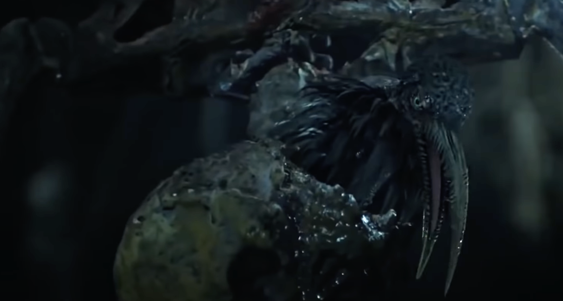 Snow Monster (2019) | Monster Zone