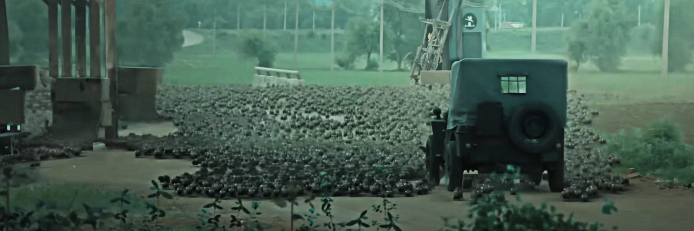 Rat Disaster (2021) | Monster Zone