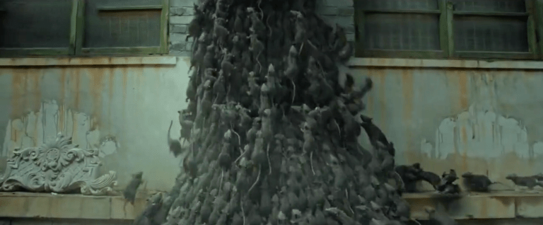 Rat Disaster (2021) | Monster Zone