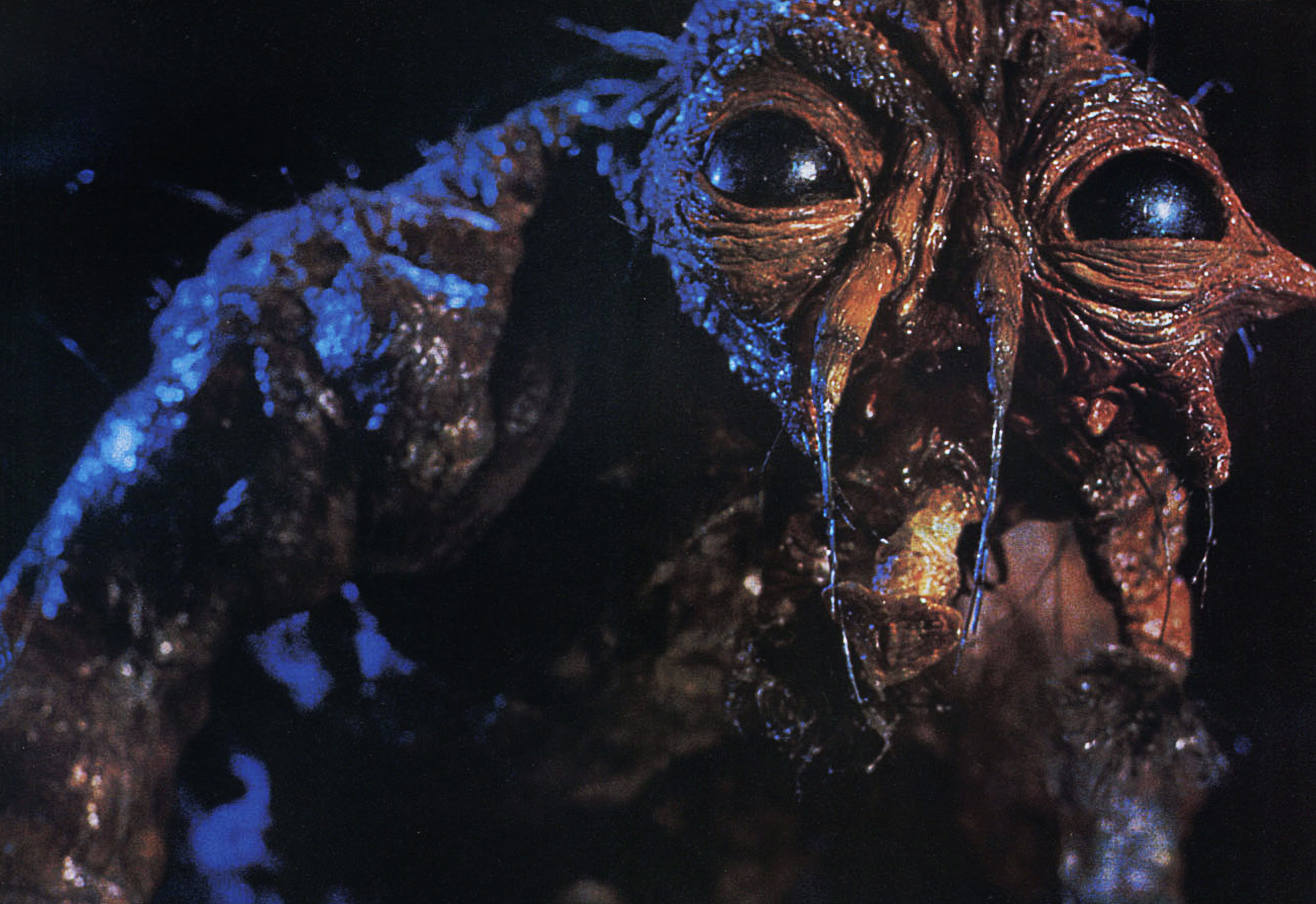 Imaginator magazine’s CREATURE FEATURE SPECIAL EDITION! | Monster Zone