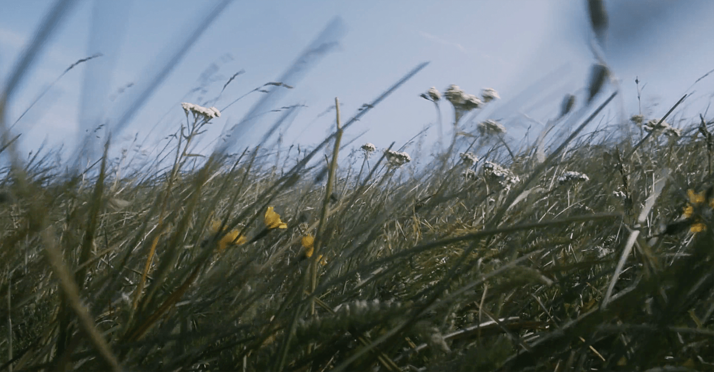 Icelandic folklore | Monster Zone